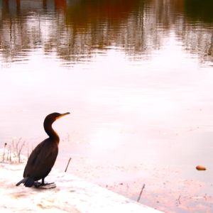 MICHAEL J TULLY PARK - Updated January 2026 - 43 Photos & 30 Verified ...