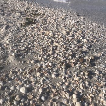 BONITA BEACH ACCESS #1 - Updated November 2025 - 65 Photos & 20 Reviews ...