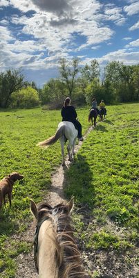 MILLBROOK TRAIL RIDES - Updated May 2024 - 41 Photos & 24 Reviews ...
