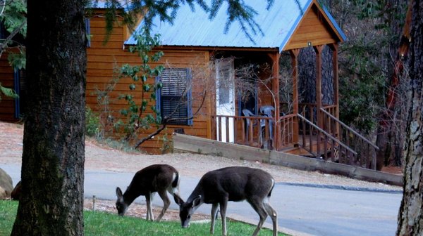 HARMONY RIDGE RESORT - 86 Photos & 43 Reviews - 10492 Harmony Ridge Rd ...