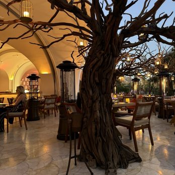 ARBOL - Updated April 2026 - 376 Photos & 101 Reviews - Carretera ...