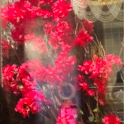 THE ROOSEVELT - 86 Photos & 29 Reviews - 356 Paterson Ave, East ...