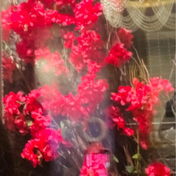 THE ROOSEVELT - Updated July 2024 - 94 Photos & 54 Reviews - 356 ...