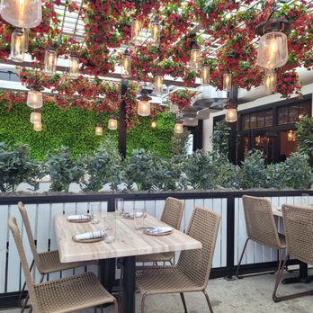 VIOLI - Updated August 2024 - 602 Photos & 230 Reviews - 260 Oakbrook ...