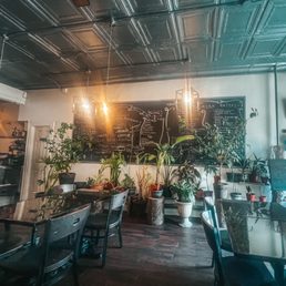 POLONICA RESTAURANT - Updated December 2025 - 200 Photos & 228 Reviews ...