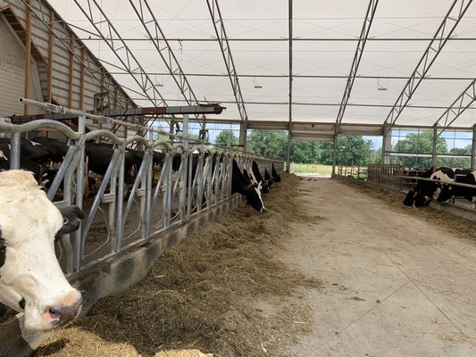 COOK’S FARM DAIRY - 58 Photos & 133 Reviews - 2950 E Seymour Lake Rd ...