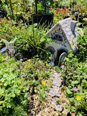 LOUIE’S NURSERY - Updated October 2025 - 299 Photos & 198 Reviews ...