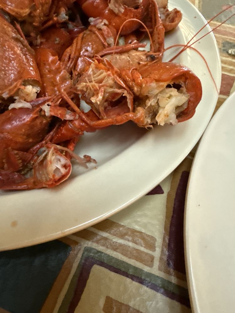 RON’S CATFISH - Updated December 2025 - 32 Photos & 63 Reviews - 3213 ...