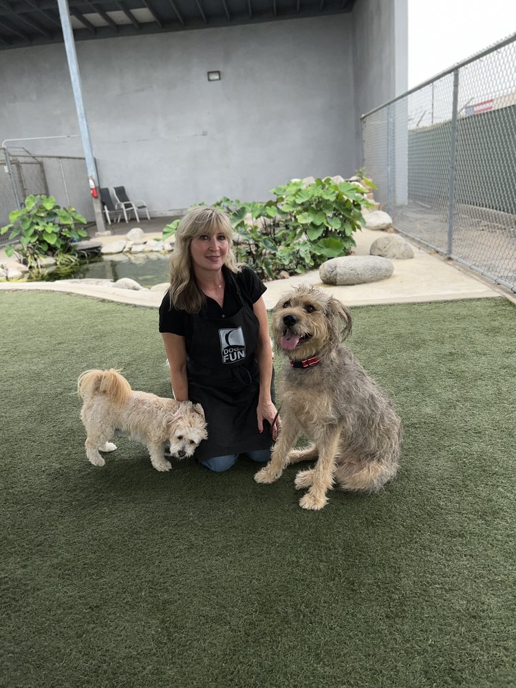 DOG ON FUN - Updated August 2024 - 94 Photos & 164 Reviews - 642 E Edna ...