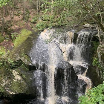 ENDERS STATE FOREST - Updated December 2025 - 171 Photos & 37 Reviews ...