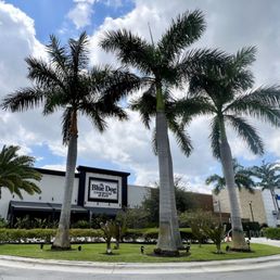 THE BLUE DOG COOKHOUSE AND BAR - Updated December 2025 - 477 Photos ...