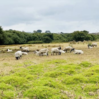 MISSION RANCH - 1473 Photos & 1050 Reviews - 26270 Dolores St, Carmel ...