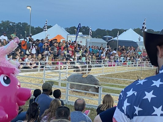 STATE FAIR OF VIRGINIA - Updated August 2025 - 97 Photos & 43 Reviews ...