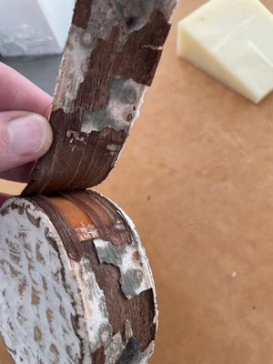 CAVANIOLA’S GOURMET CHEESE SHOP - Updated December 2025 - 37 Photos ...