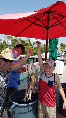 FLYING FISH FLEET DEEP SEA FISHING - Updated May 2024 - 12 Photos & 34 ...