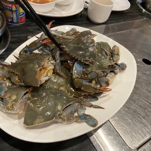 KPOT KOREAN BBQ & HOT POT - Updated June 2025 - 38 Photos & 22 Reviews ...