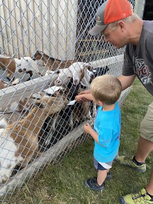 FAWN DOE ROSA - Updated July 2024 - 98 Photos & 36 Reviews - 2131 US ...