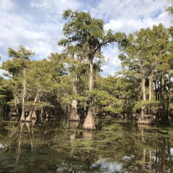 CAPTAIN RON’S SWAMP TOURS - Updated October 2024 - 76 Photos & 34 ...