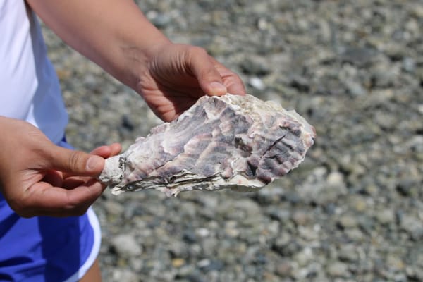 ELD INLET - Updated October 2025 - 11 Photos - Olympia, Washington ...