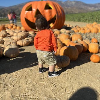 PRANCERS FARM - Updated October 2025 - 148 Photos & 47 Reviews - 18540 ...