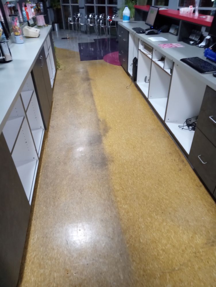 SQWEEKS CLEAN TEAM - Updated October 2024 - Springfield, Missouri ...