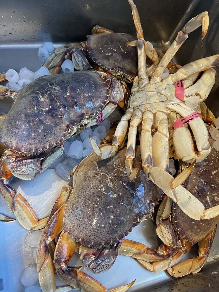 USA DAILY LIVE SEAFOOD MARKET - Updated December 2025 - 219 Photos ...