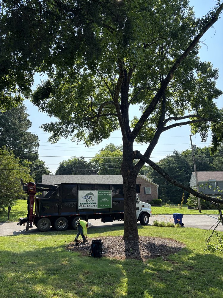 GTZ TREE SERVICE - Updated September 2025 - 40 Photos - 4912 French Rd ...
