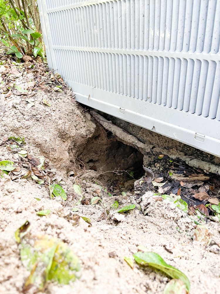 CRITTER CONTROL - Miami, Florida - Pest Control - Phone Number - Yelp