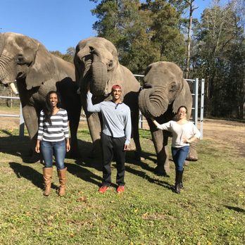 EAST TEXAS ELEPHANT EXPERIENCE - Updated October 2025 - 50 Photos & 15 ...