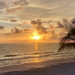 FOUR WINDS BEACH RESORT - Updated August 2024 - 16 Photos & 13 Reviews ...