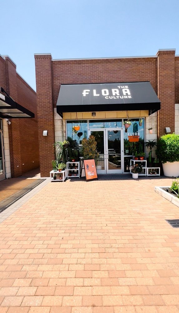 THE FLORA CULTURE - Updated December 2025 - 70 Photos & 40 Reviews ...