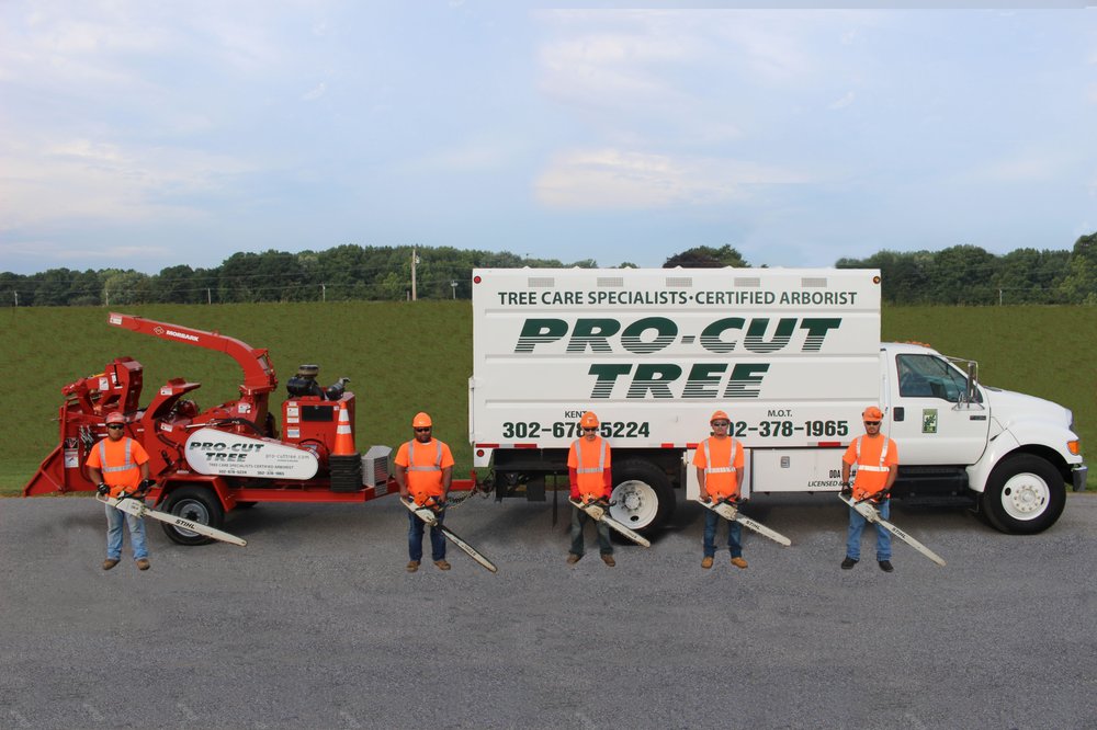 PRO CUT TREE - Updated October 2025 - 1788 N Little Creek Rd, Dover ...