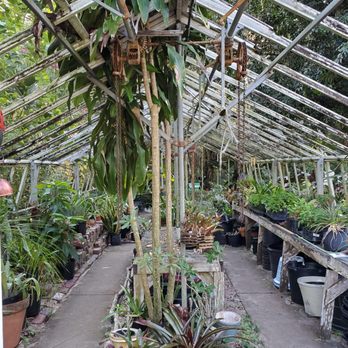 NEHRLING GARDENS - Updated December 2025 - 23 Photos - 2267 Hempel Ave ...