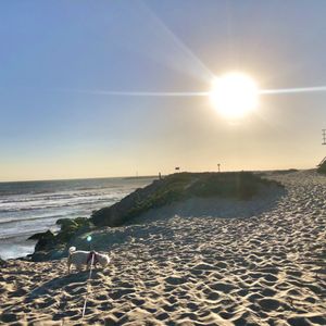 BEACH AT OXNARD SHORES - 60 Photos - 5th St & Mandalay Beach Rd, Oxnard ...