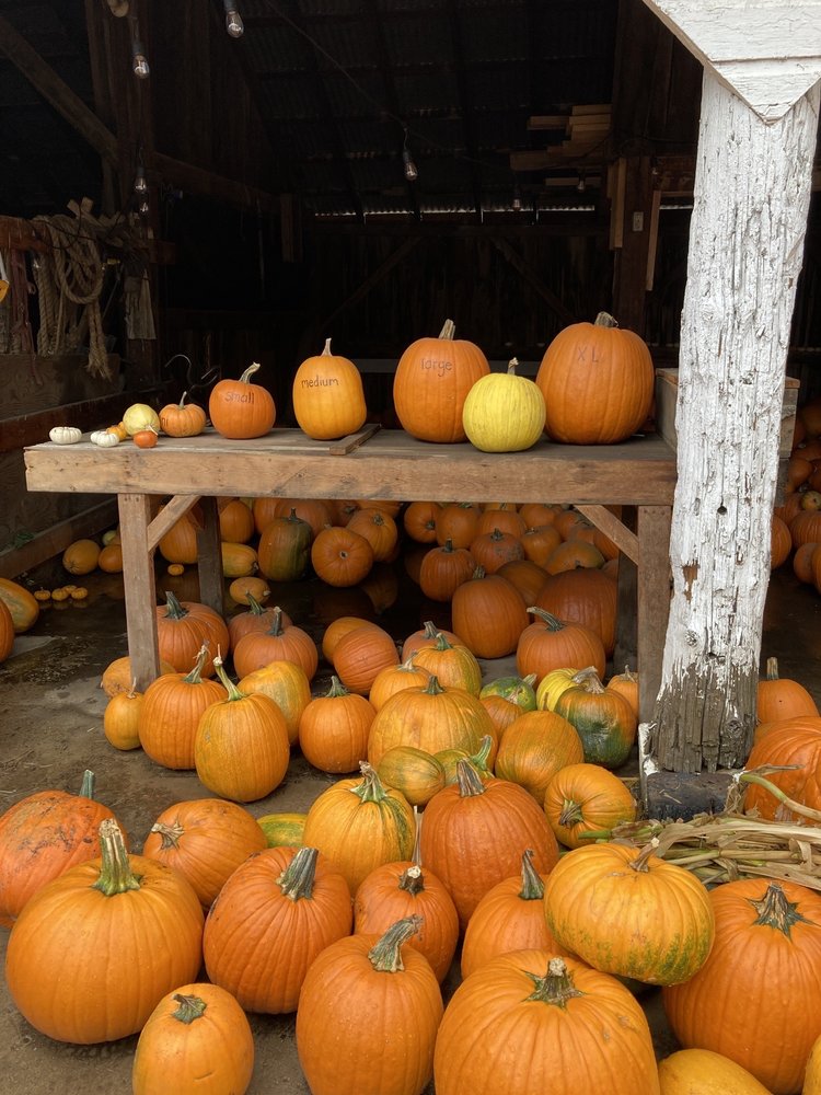 SUNNYFIELD FARMS - Updated June 2025 - 2103 N 5500 E, Eden, Utah ...