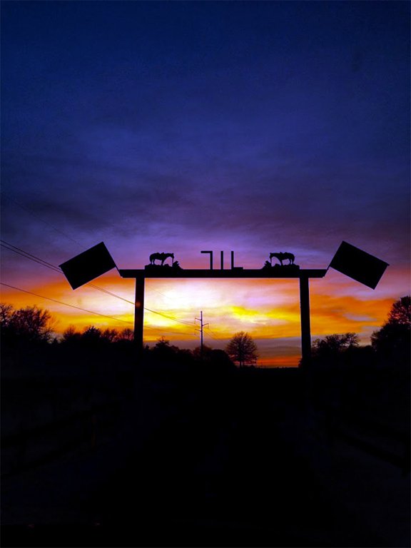 7IL RANCH - 5389 Mill Creek Rd, Cat Spring, Texas - Ranches - Phone ...