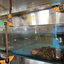 MANDARIN KITCHEN - Updated August 2025 - 746 Photos & 511 Reviews ...