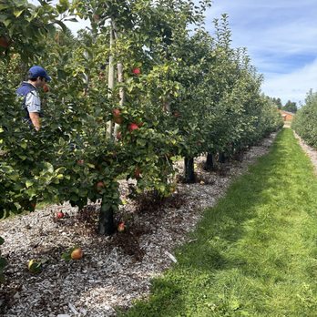 PARLEE FARMS - Updated August 2025 - 296 Photos & 147 Reviews - 95 ...