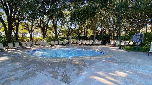 WALT DISNEY WORLD DOLPHIN - 687 Photos & 589 Reviews - 1500 Epcot ...