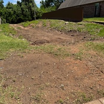 ABC PROFESSIONAL TREE SERVICES - Updated October 2025 - 20 Photos & 32 ...