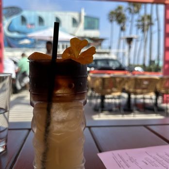 NALU VIDA VENICE - Updated June 2025 - 131 Photos & 93 Reviews - 1 ...