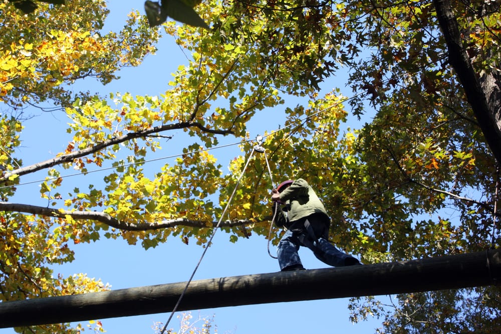 CALLEVA FARM - Updated December 2025 - 10 Photos - 19120 Martinsburg Rd ...