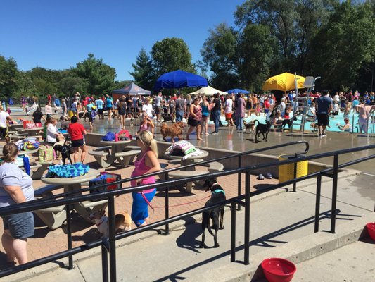 PAPIO BAY - Updated December 2025 - 11 Reviews - 815 E Halleck St ...