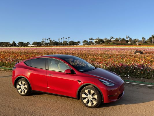 CAR TRACKERS - Updated December 2025 - 160 Photos & 713 Reviews - 2401 ...