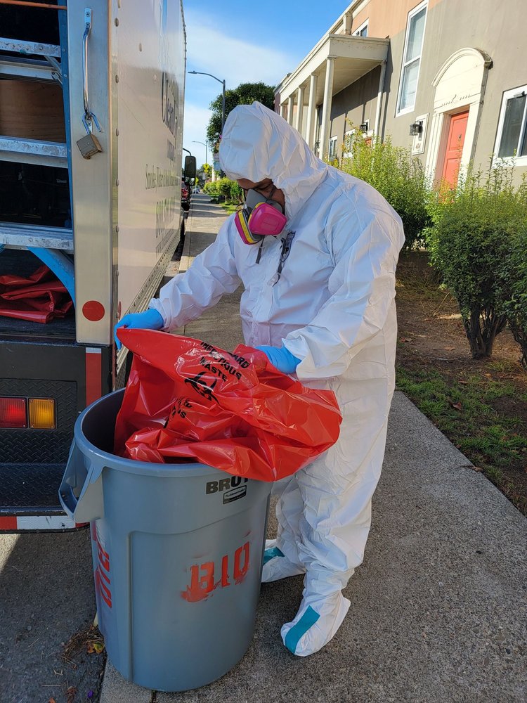 THE RESTORATION CLEANUP - 13 Photos - 325 Corey Wy, South San Francisco ...