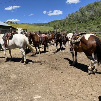 DEL’S TRIANGLE 3 RANCH - Updated November 2024 - 95 Photos & 85 Reviews ...