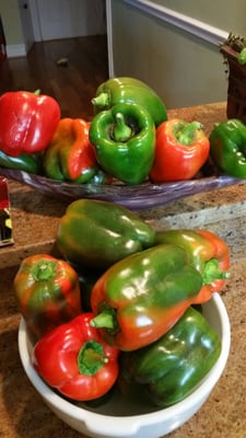 JIM SCOTT COMMUNITY CENTER - Updated December 2025 - 20 Photos - 3001 ...