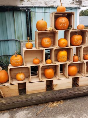BAUGHER’S ORCHARD & FARM - 192 Photos & 92 Reviews - 1236 Baugher Rd ...