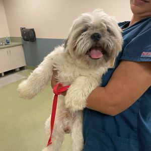 RIVERSIDE COUNTY DEPARTMENT OF ANIMAL SERVICES - Updated December 2025 ...