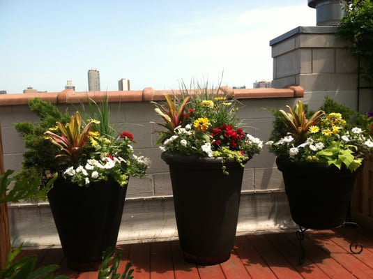 GENESIS OUTDOOR SERVICES - Updated September 2024 - 21 Photos - Chicago ...